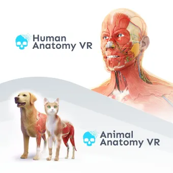 Anatomy VR Bundle Trophy Guides and PSN Price History
